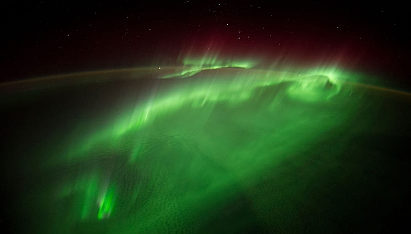 Did another advanced species exist on Earth before humans? | Euronews