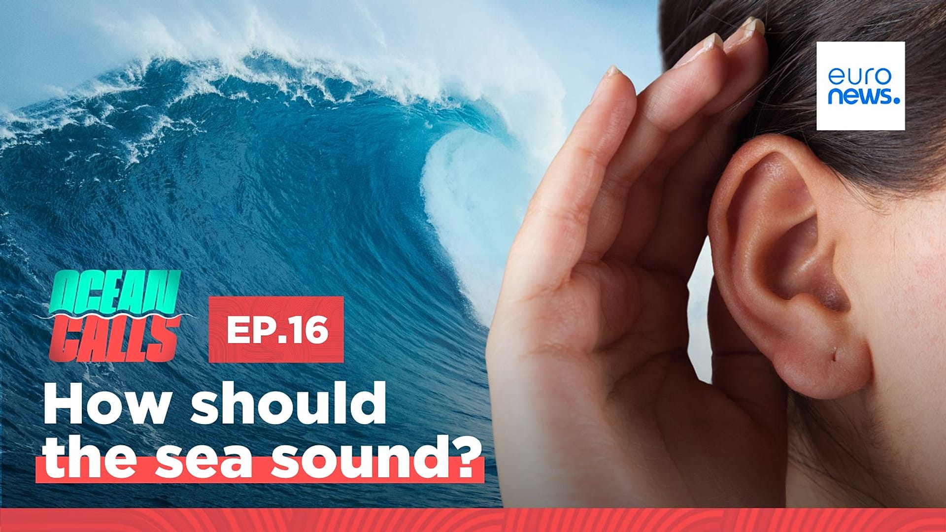 Podcast: ‘An acoustic world’ – marine experts on the noises and sounds ...