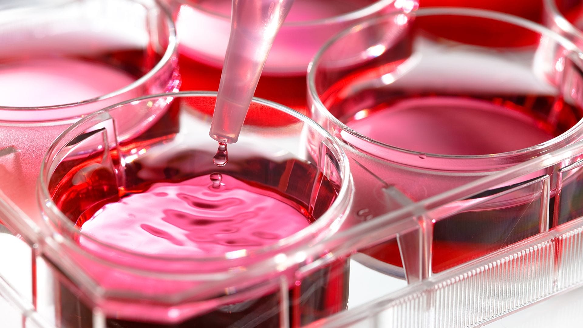 France tackles steep ‘decline’ in medical research with ambitious new ...