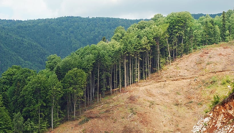 Earth Overshoot Day: Humanity burns through planet's yearly resources ...