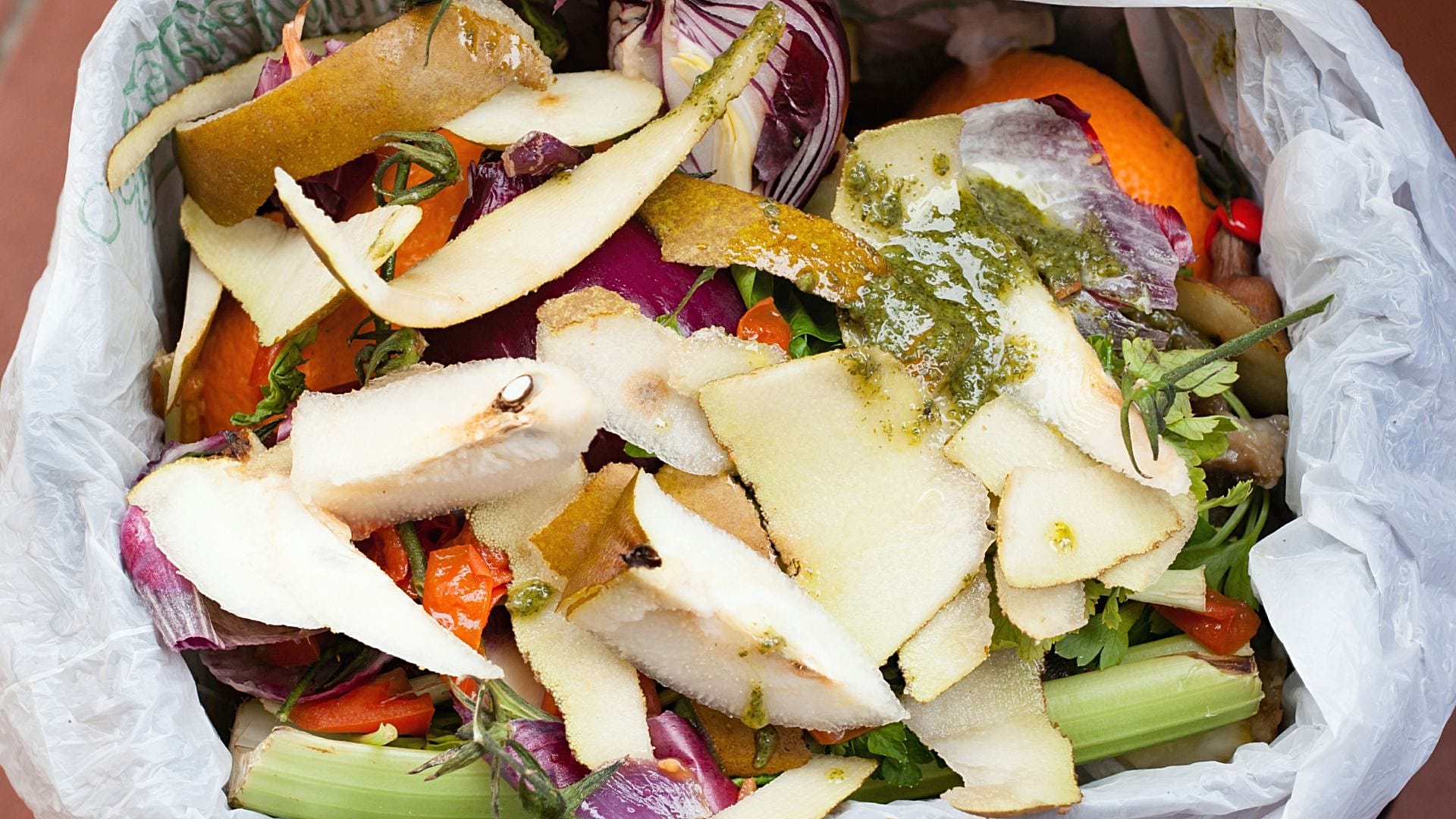 France implements compulsory composting. Here’s how it will help slash ...