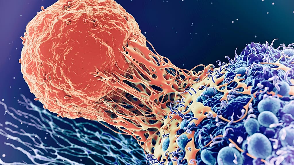 Cancer cases expected to grow by more than 20% in Europe by 2045 - WHO ...