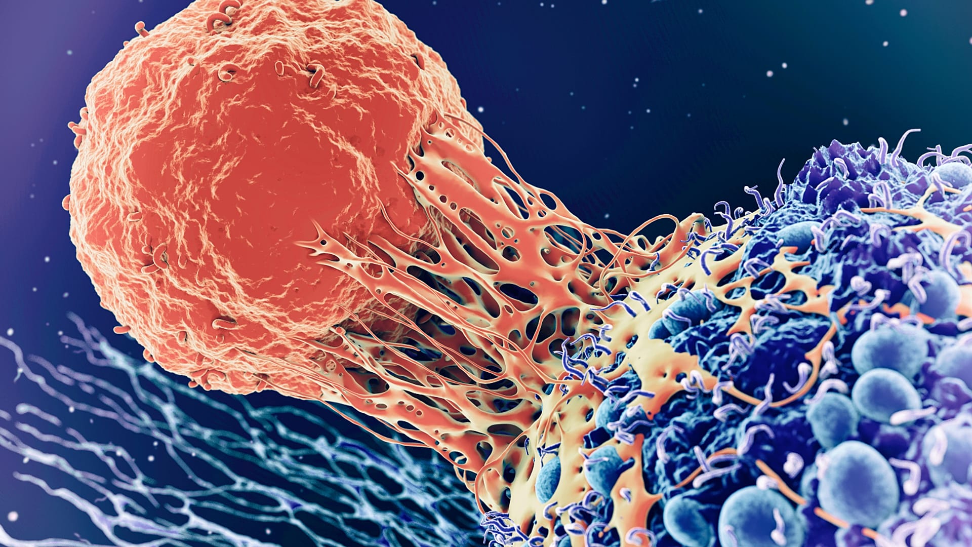 Cancer cases expected to grow by more than 20% in Europe by 2045 - WHO ...