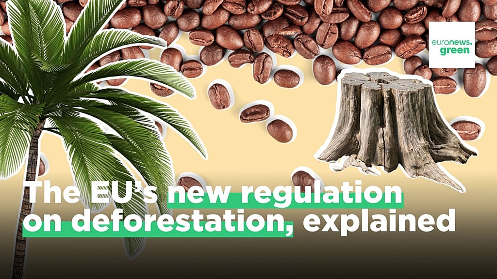 Supply chain disruptions: Are concerns about the EU's new deforestation ...