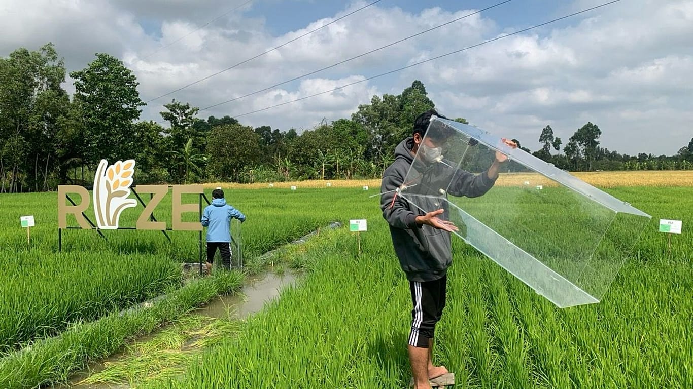Rice is a silent source of methane emissions: Meet the startup helping ...