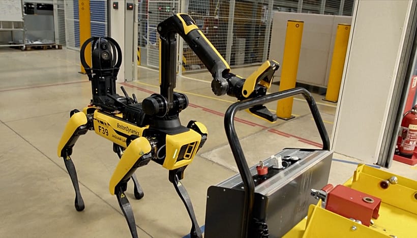 Video. Meet ‘Rover', the AI-driven robot dog | Euronews