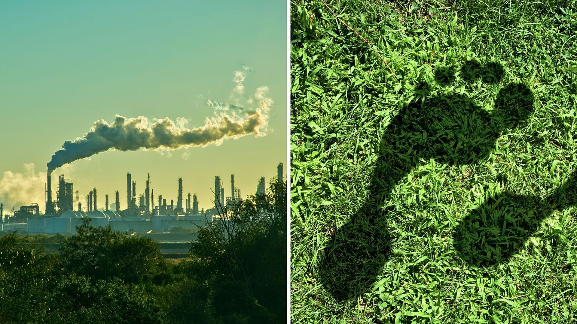 25 years counting ‘carbon footprints’: Experts assess the term beloved ...