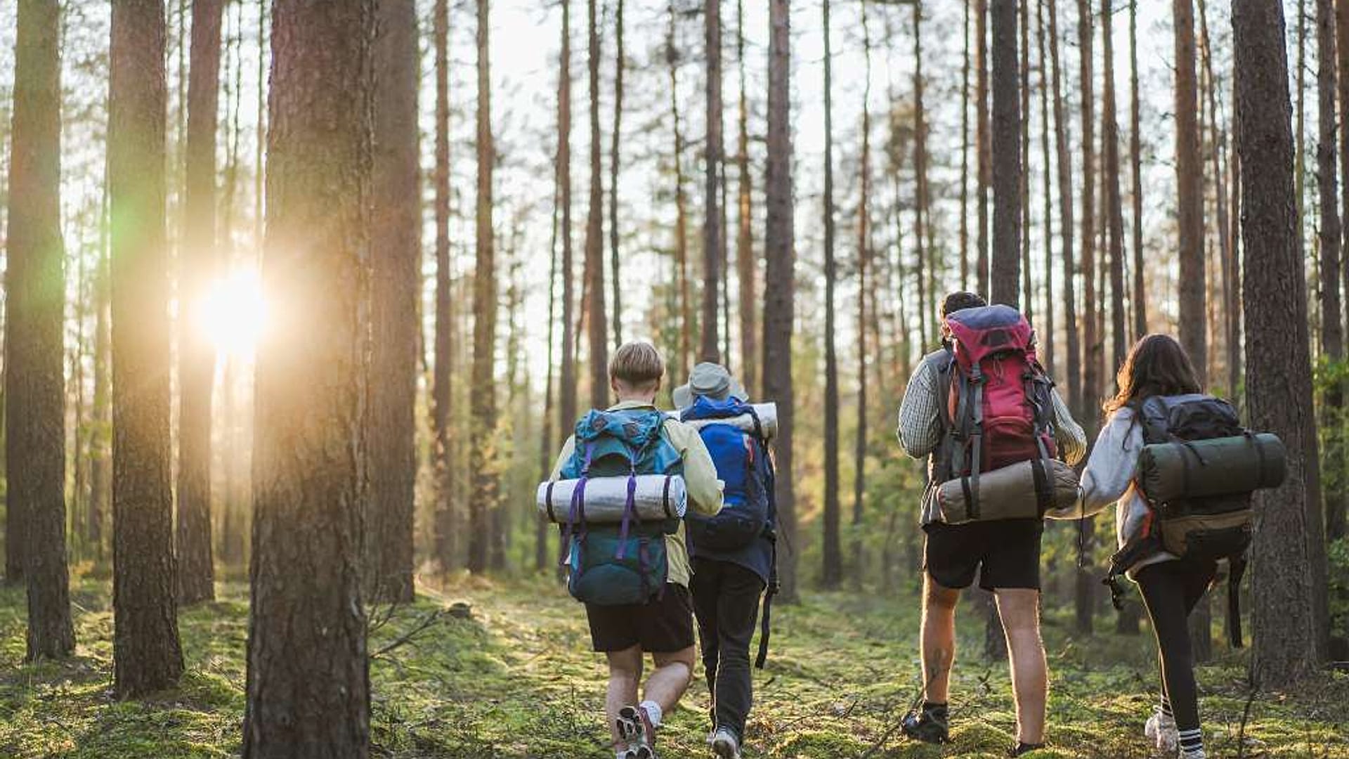 Bird watching, hiking and history: Escape to nature on a trip to ...