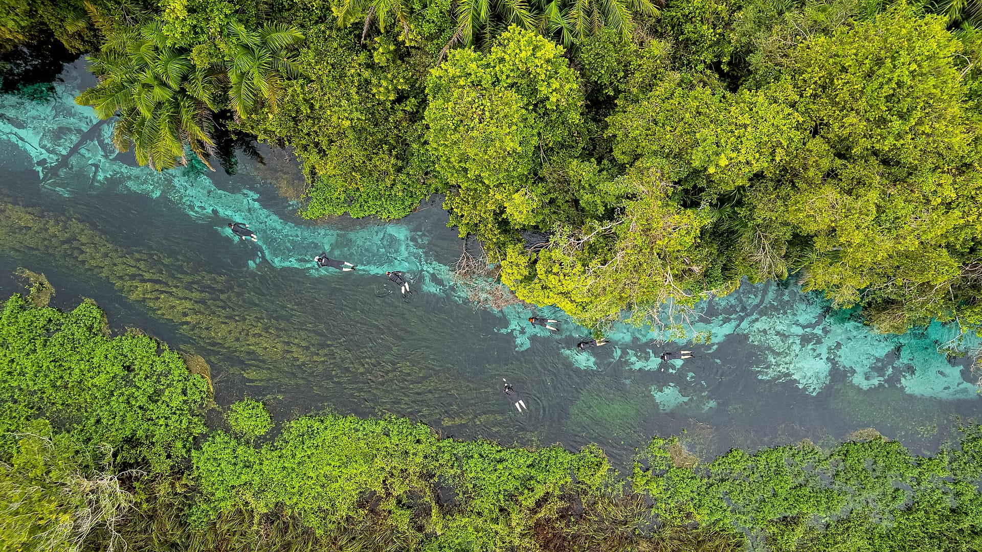 From the Amazon Rainforest to the Pantanal Wetlands: Is Brazil South ...