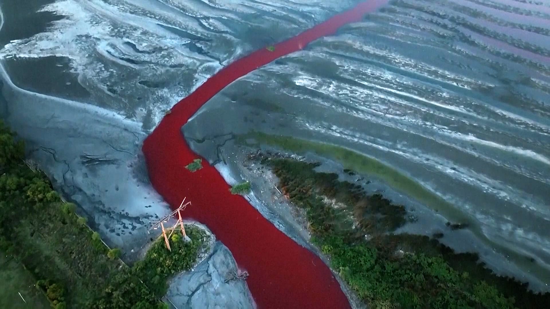 Video. Bright red river outside Buenos Aires sparks fears of pollution ...
