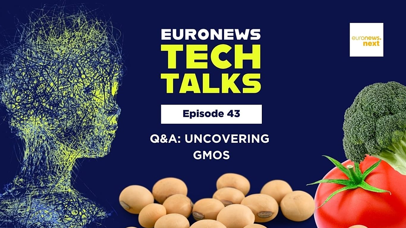 What are GMOs and why do they remain so controversial? | Euronews Tech Talks