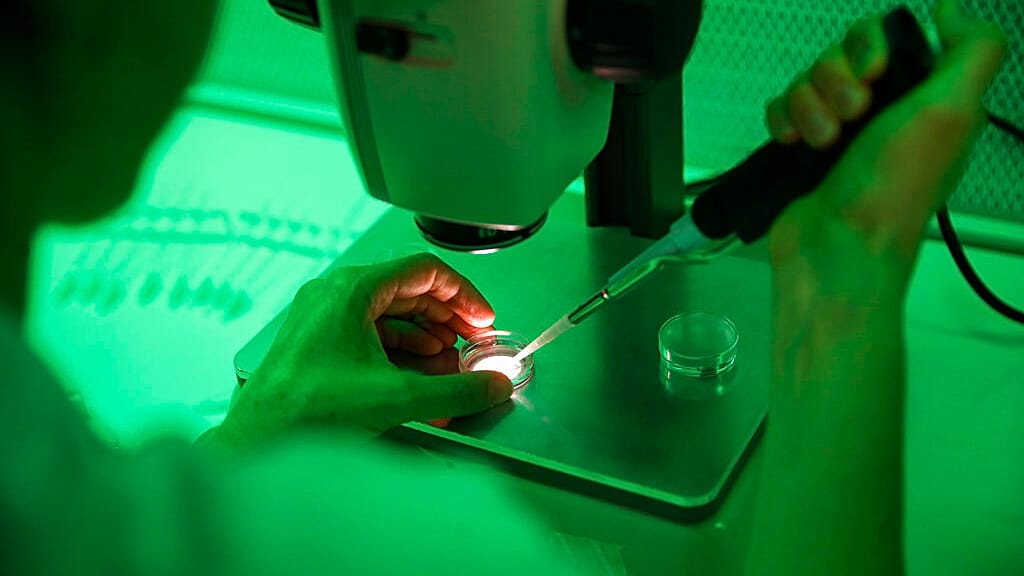 Experimental treatment restores sight to man with genetic eye disorder ...