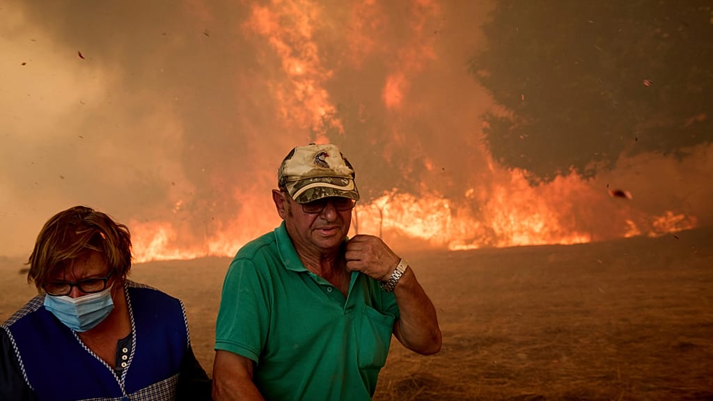 Video. Protesters call for central government control of wildfires in ...