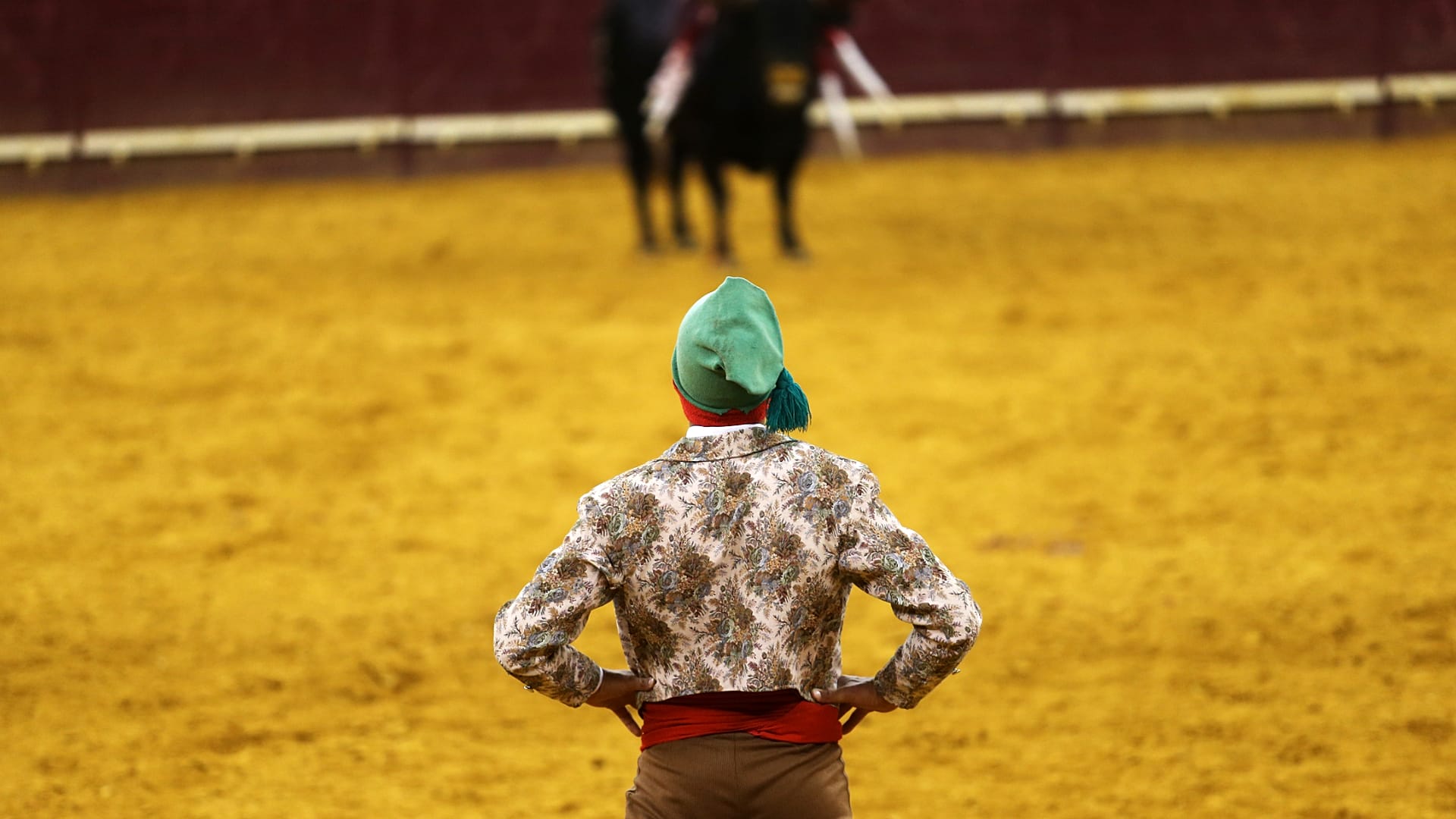 Portuguese bullfighter's death reignites debate over animal welfare and ...