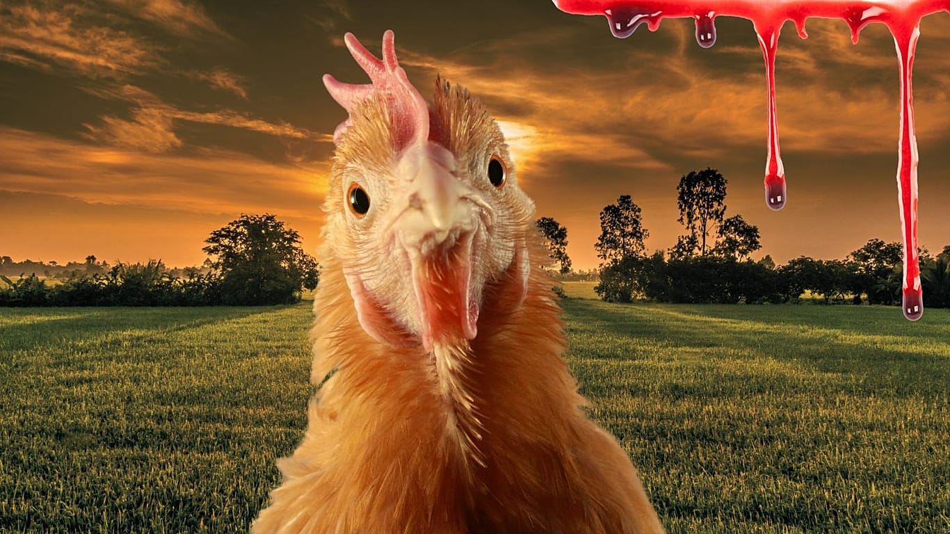 Celebrating the 80-year legacy of Mike, ‘The Headless Wonder Chicken ...
