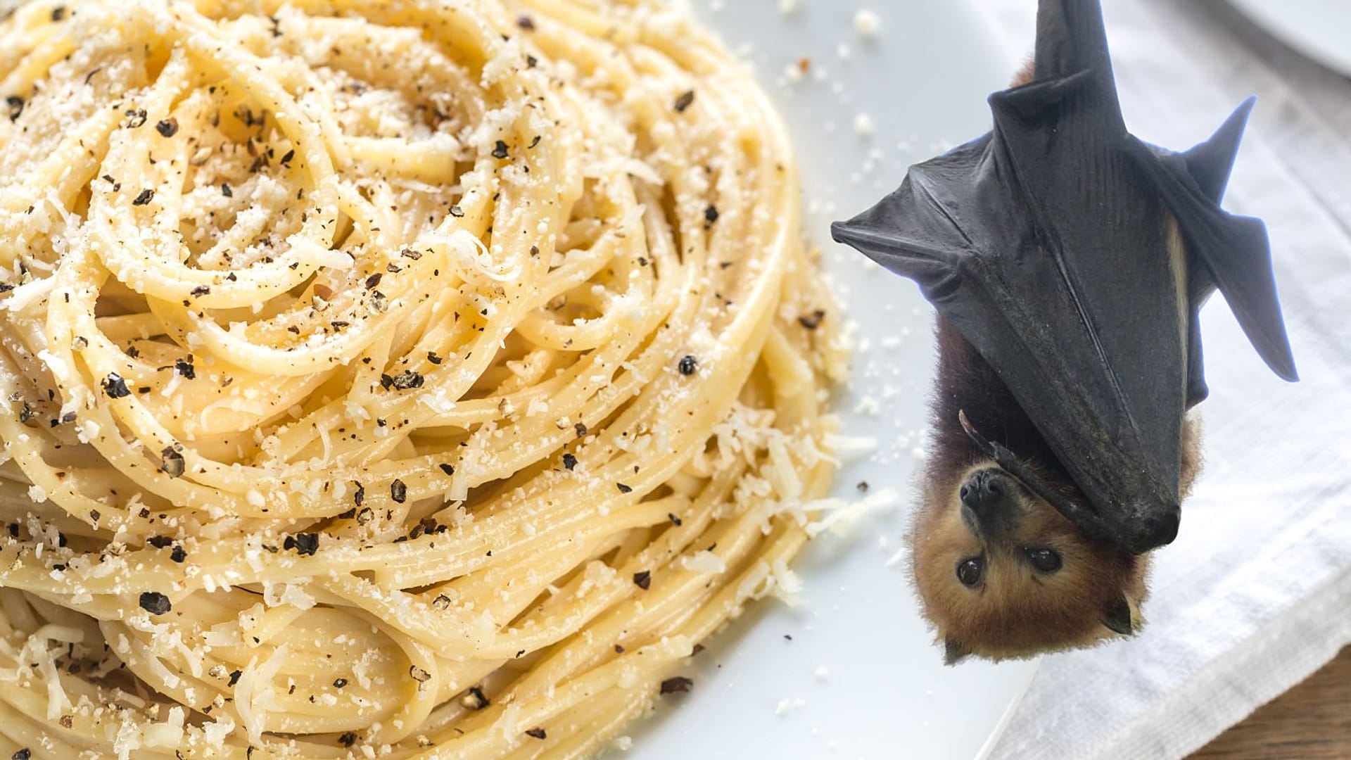Drunk bats and pasta clumps: The winners of 2025’s Ig Nobel Prizes ...