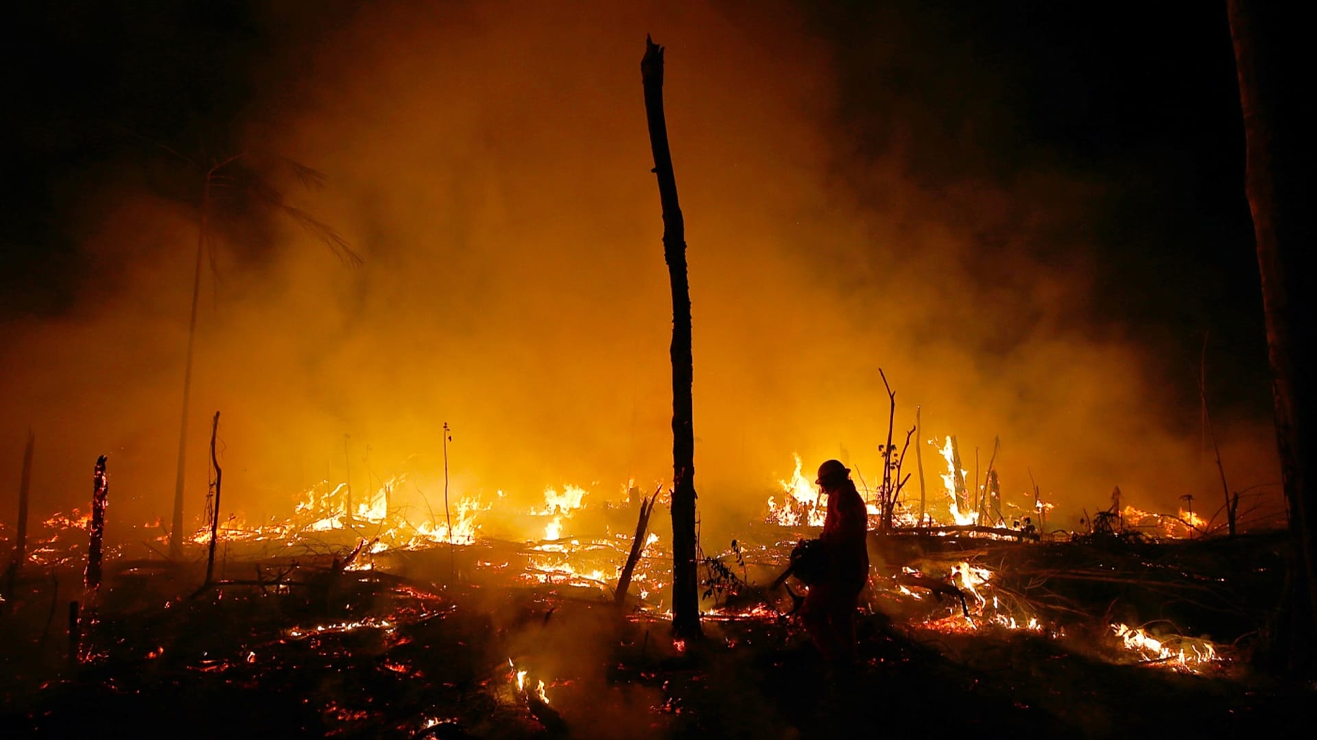 Record-breaking Amazon fires triggered as much CO₂ as an entire country ...
