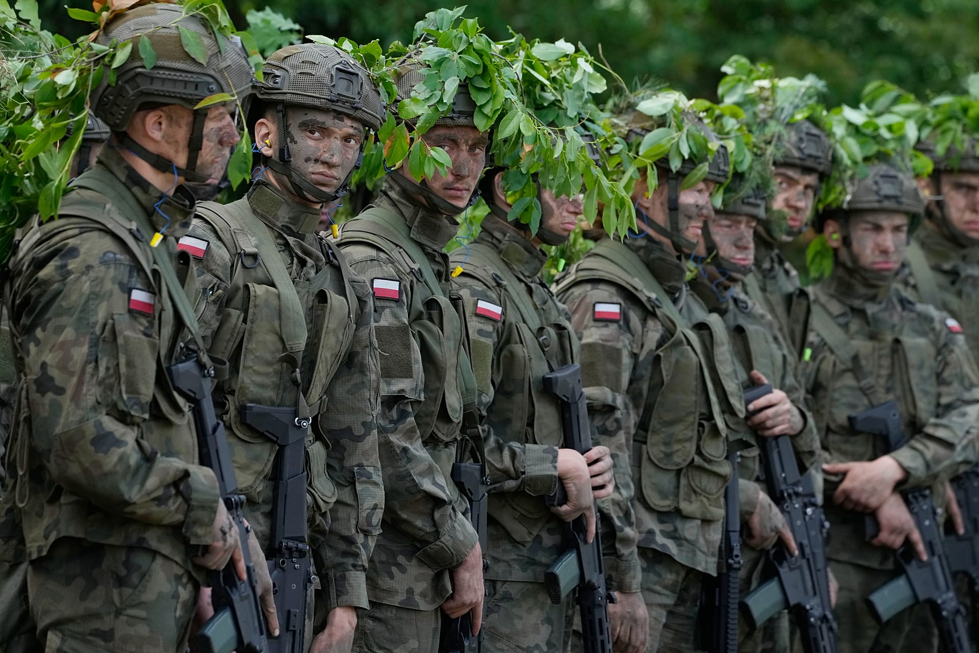 Poland is launching a new military training programme. How will ...