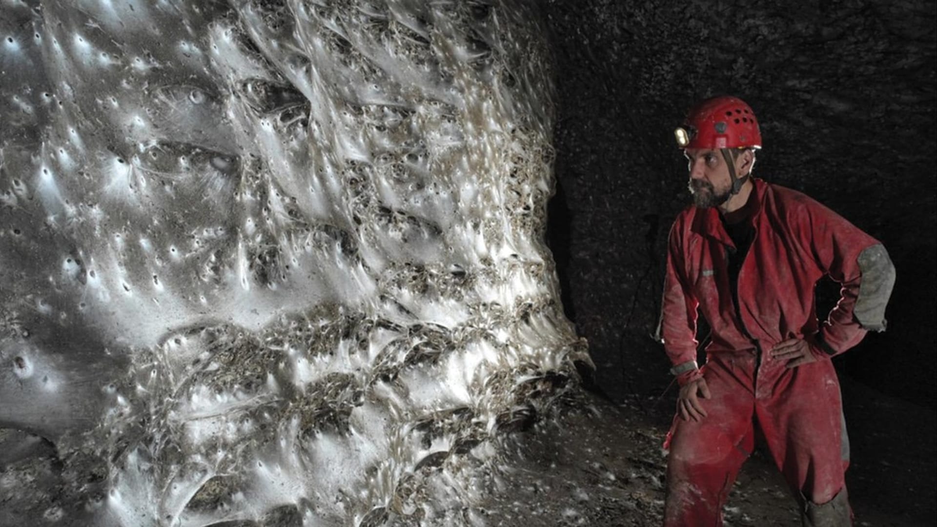 World's biggest spiderweb home to more than 110,000 spiders discovered ...