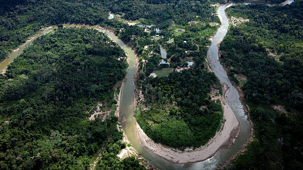 COP30: Could Brazil’s ambitious new ‘Tropical Forests Forever’ fund ...