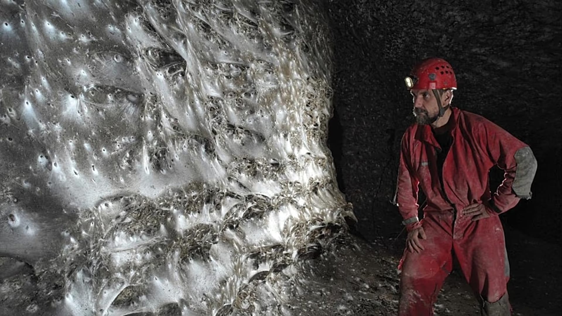 Video. Researchers discover giant spider ‘Megacity’ in cave on Albania ...