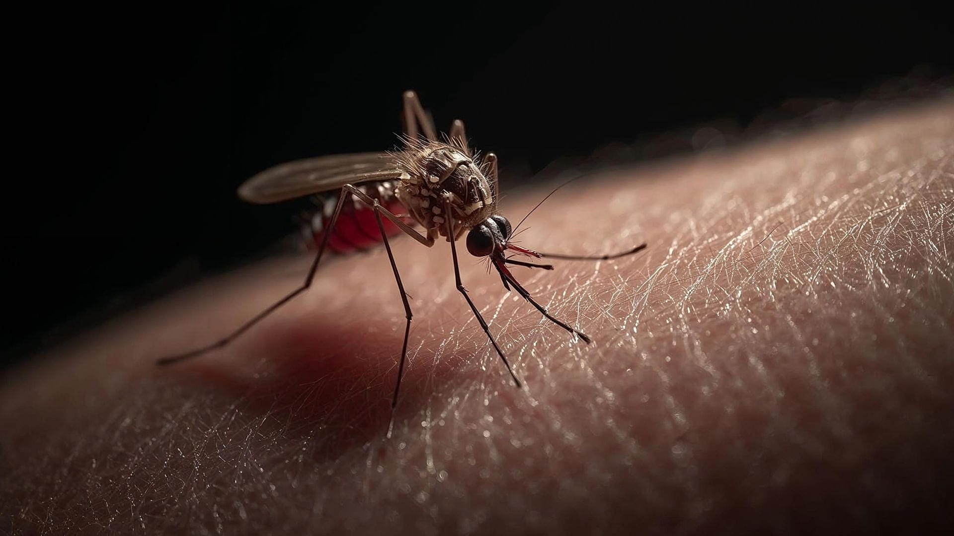 Scientists dream of beating malaria by editing disease-carrying ...