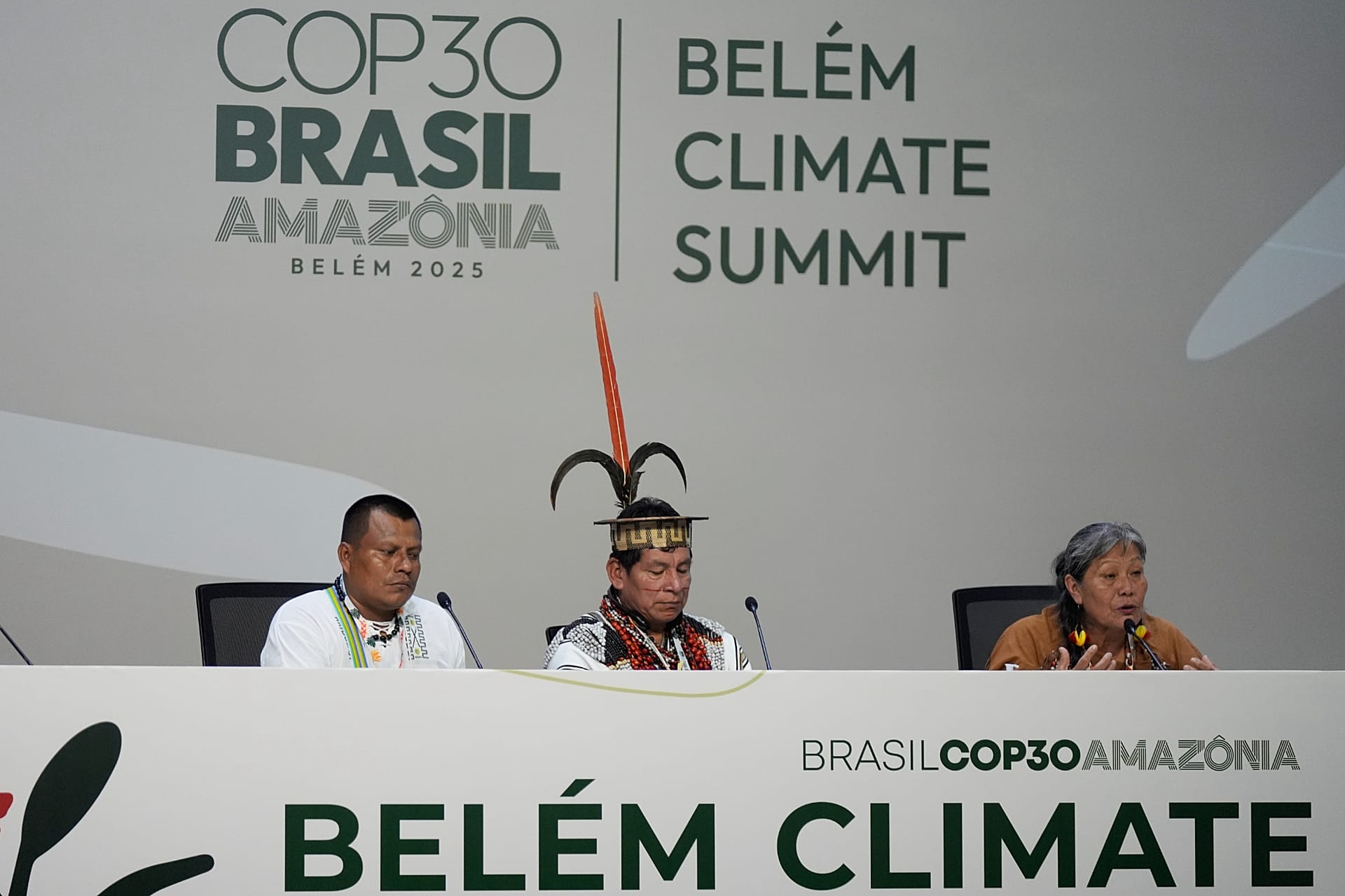 COP30: Brazil promotes largest Indigenous participation in history of ...