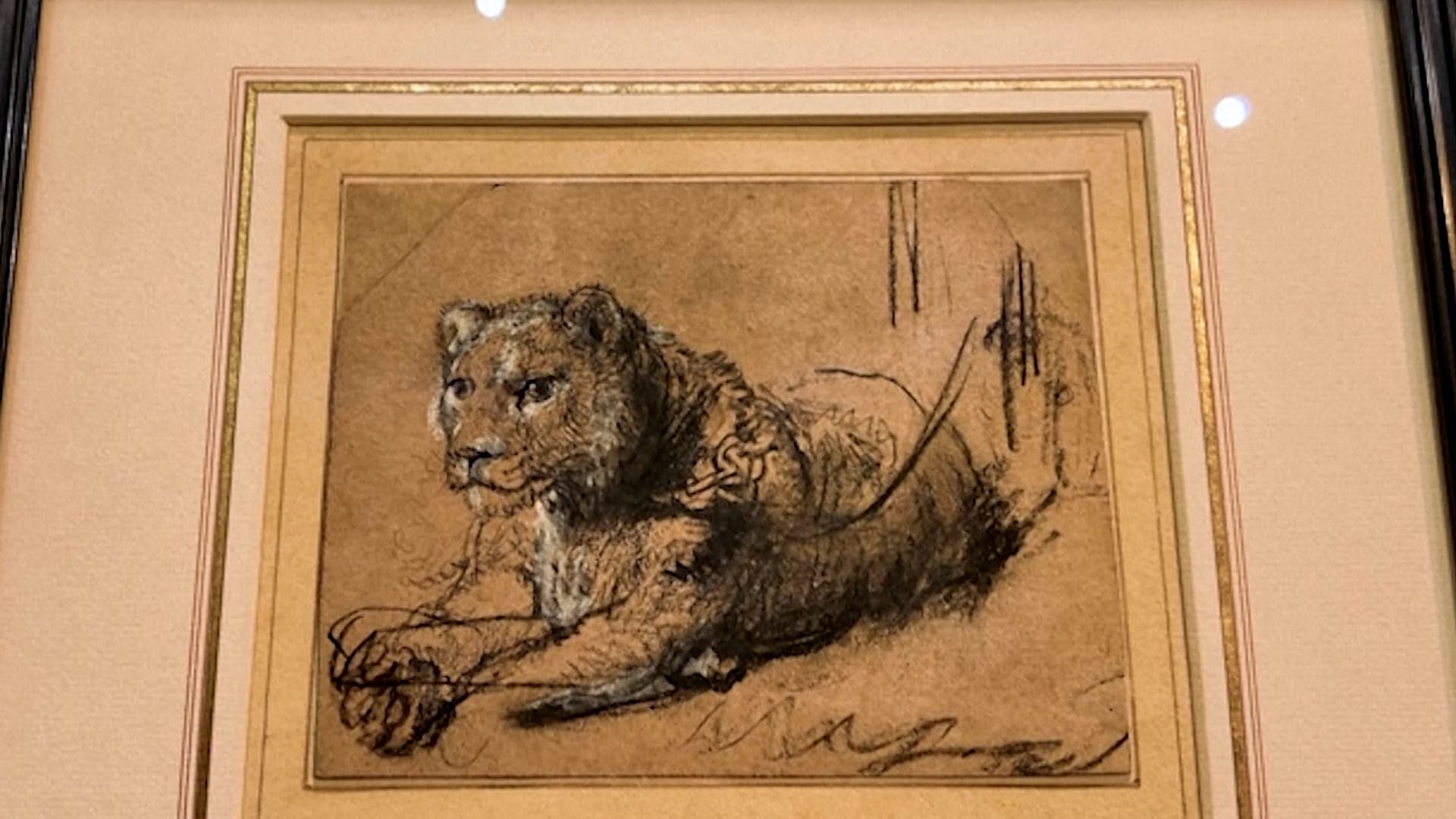 Vidéo. Un dessin de lion signé Rembrandt sera mis aux enchères en 2026 ...