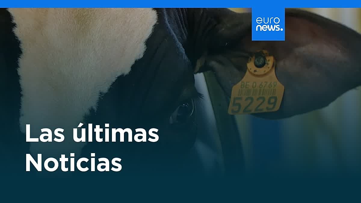 Vídeo. Últimas noticias | 12 noviembre 2025 - Mañana | Euronews