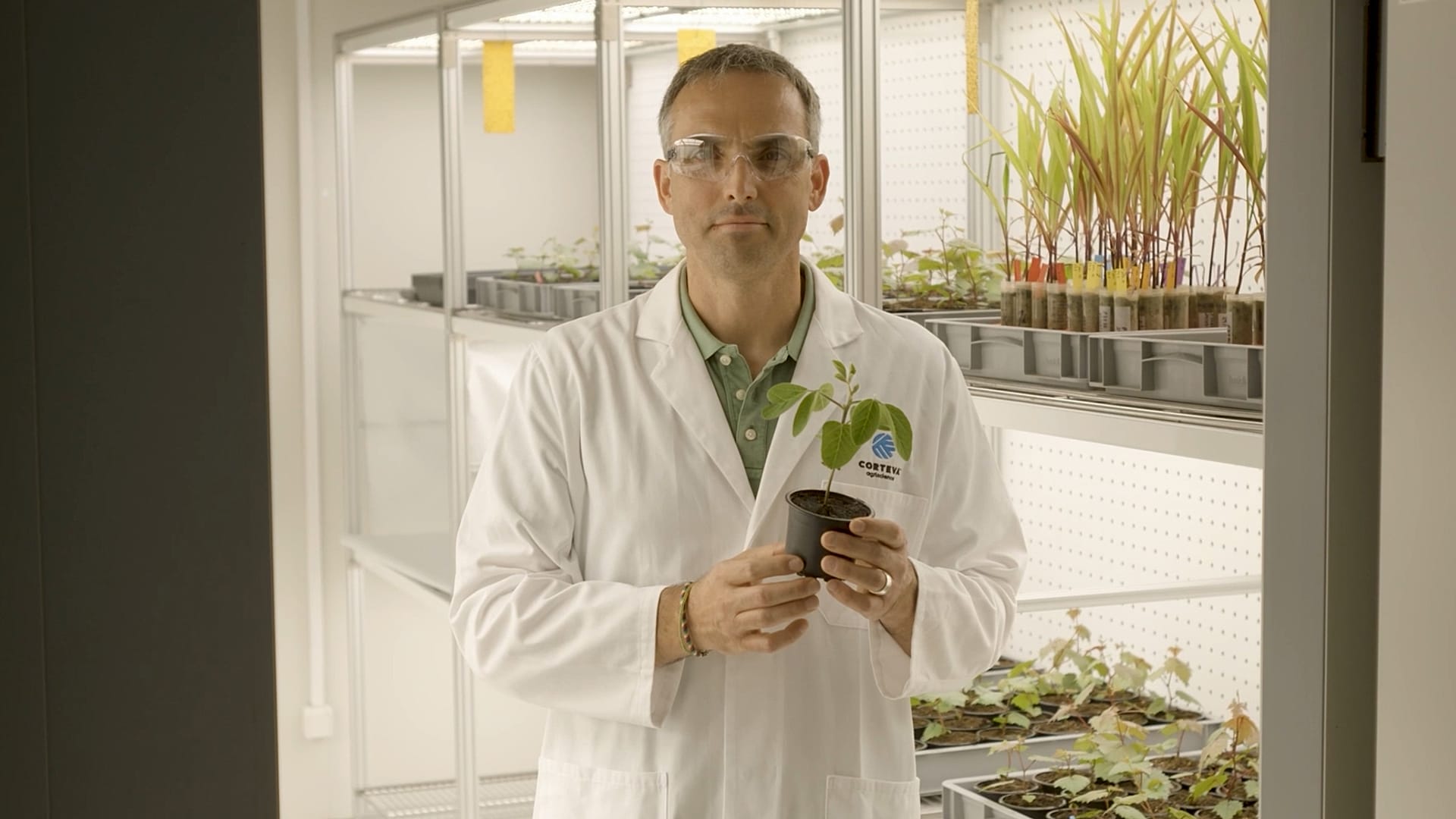 Gene editing: the technology that could revitalize European farming ...