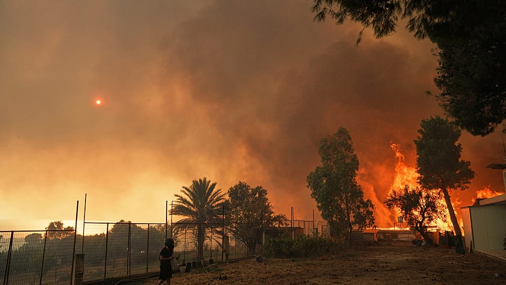 Forest fires: Greece pinpoints high risk areas with new data-rich map ...