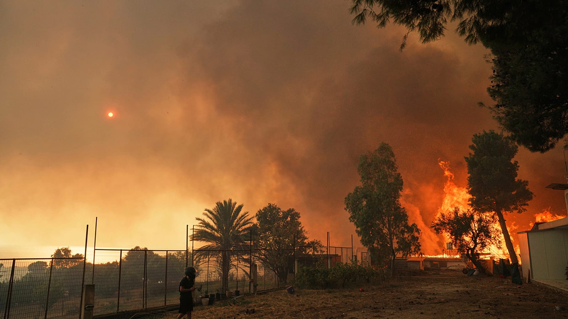 Forest fires: Greece pinpoints high risk areas with new data-rich map ...