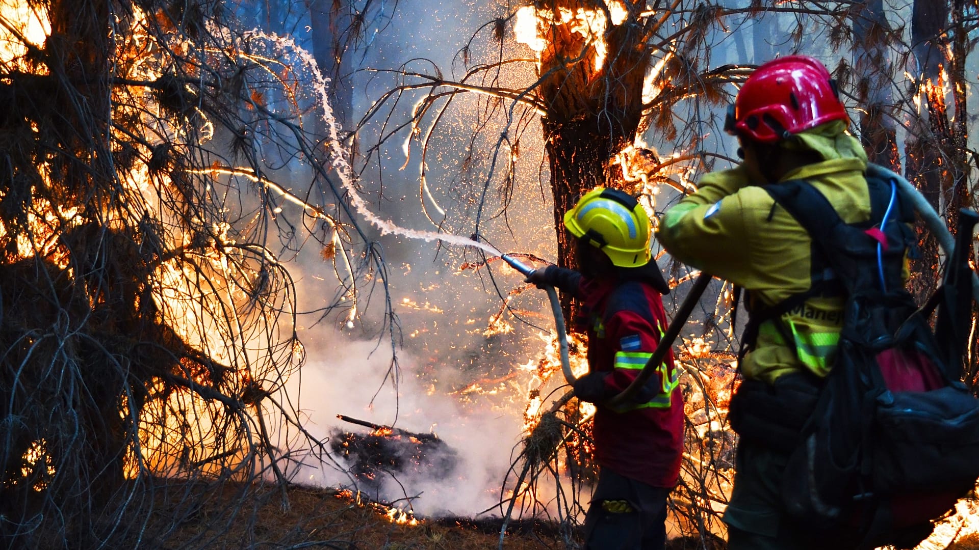 Incendies en Patagonie : plus de 15 000 hectares partis en fumée en une ...