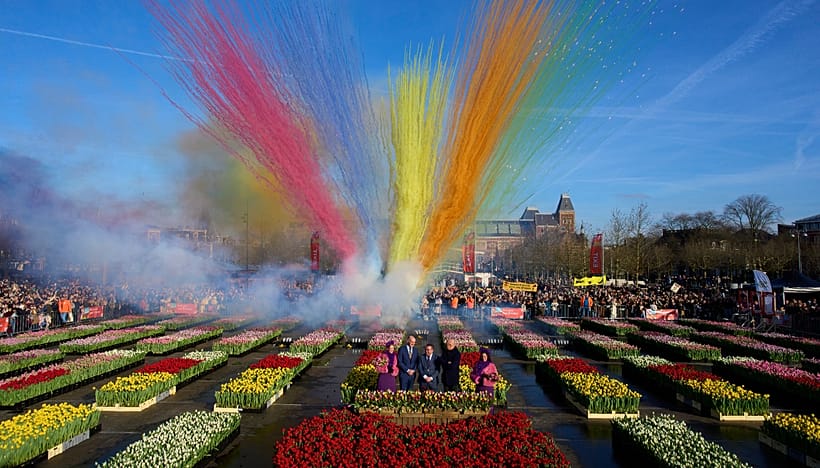 Video. Dutch National Tulip Day: 200,000 tulips handed out in Amsterdam ...