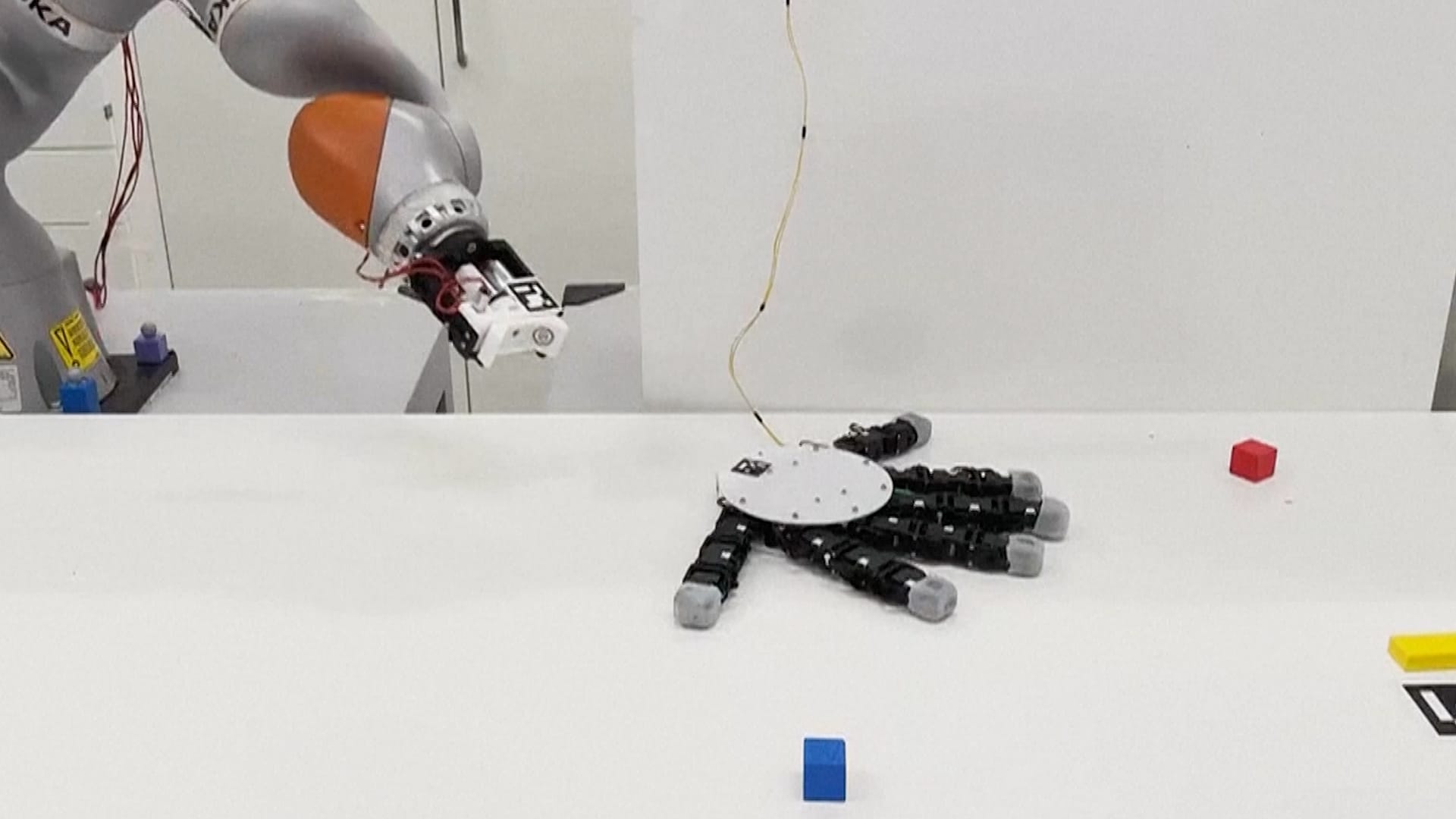 This robotic hand crawls away, grabs objects and reattaches | Euronews