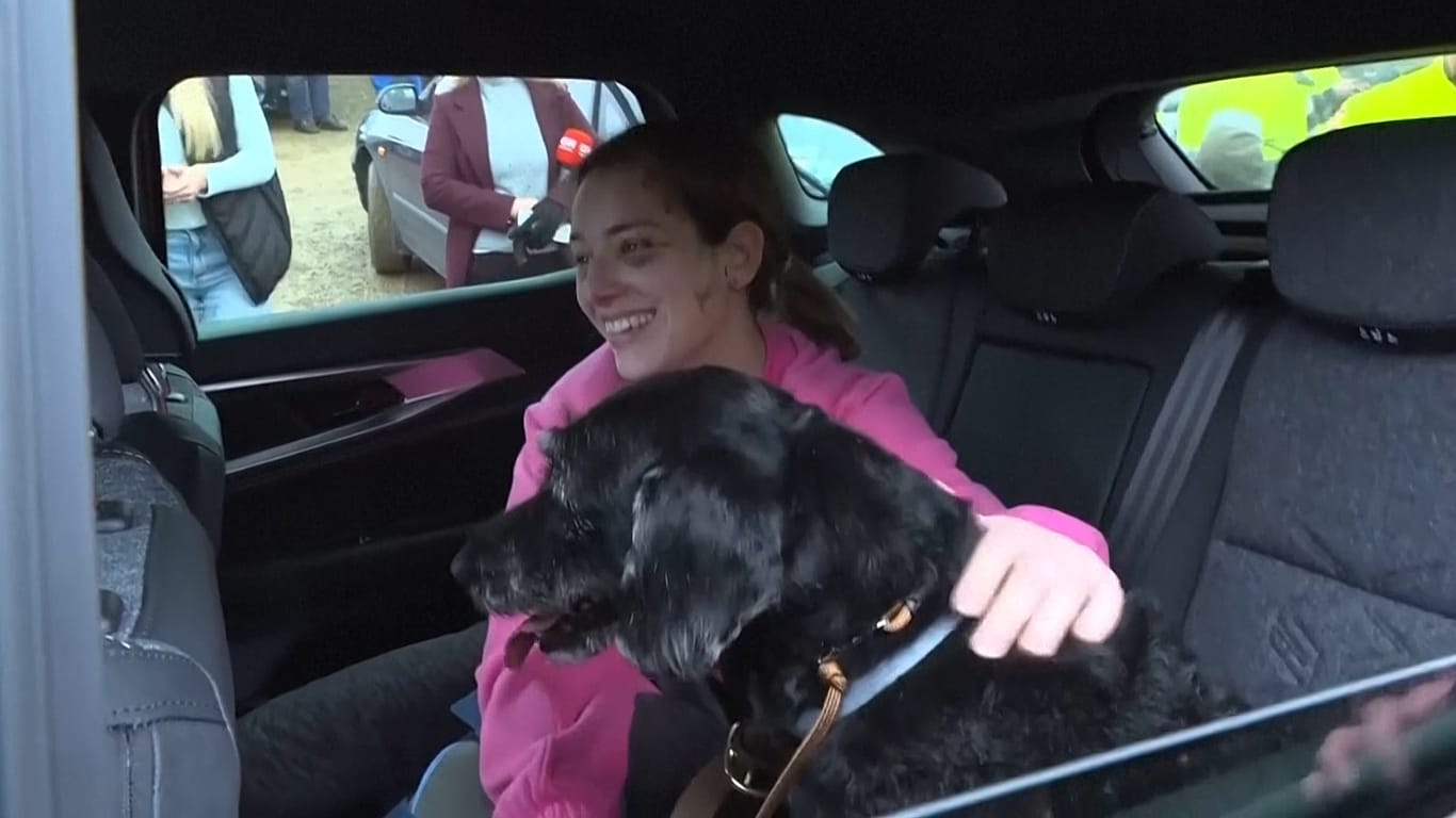 Video. Lost and found: Missing dog Boro found safe after Spanish train ...
