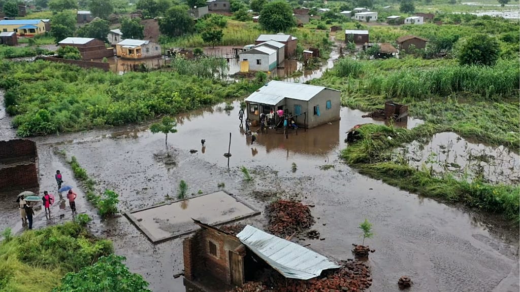 Mozambique: crocodiles appear in towns amid floods | Africanews