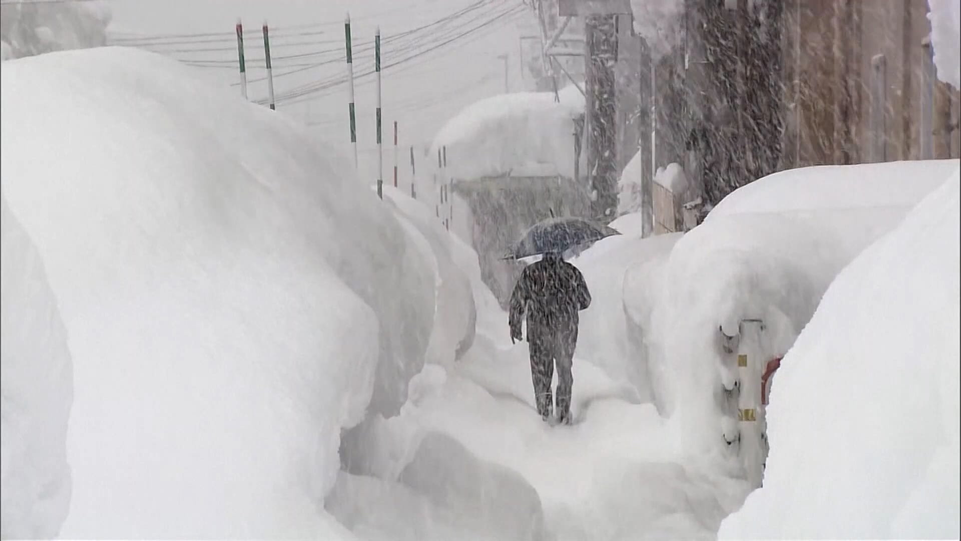 Video. Record snowfall triggers chaos across parts of Japan | Euronews