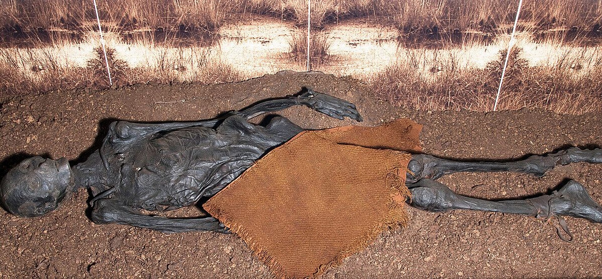 Spectacular finds in Germany: What bog bodies tell us about the time of ...