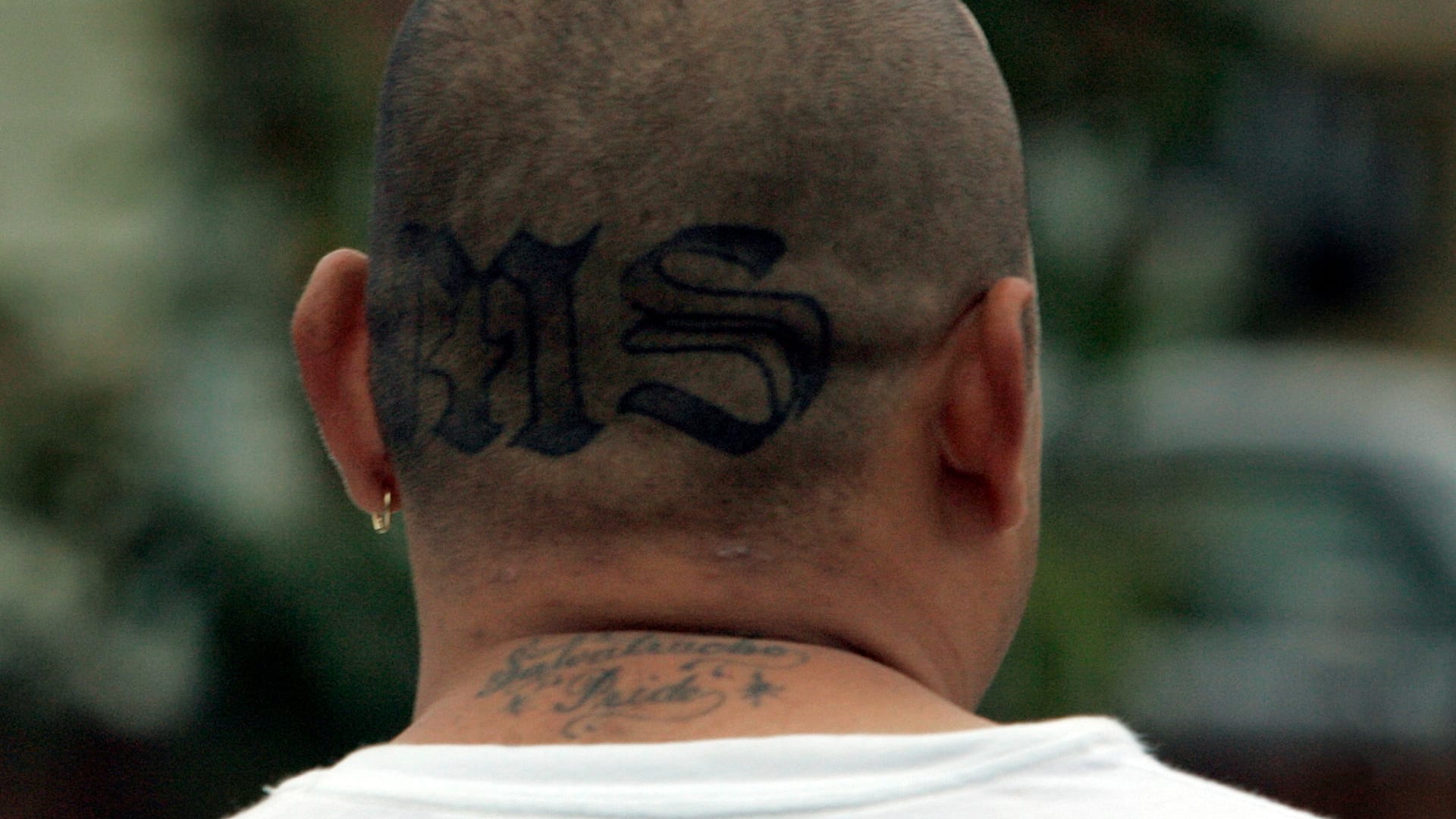 Detenido un hombre en Murcia por contratar a la Mara Salvatrucha para ...