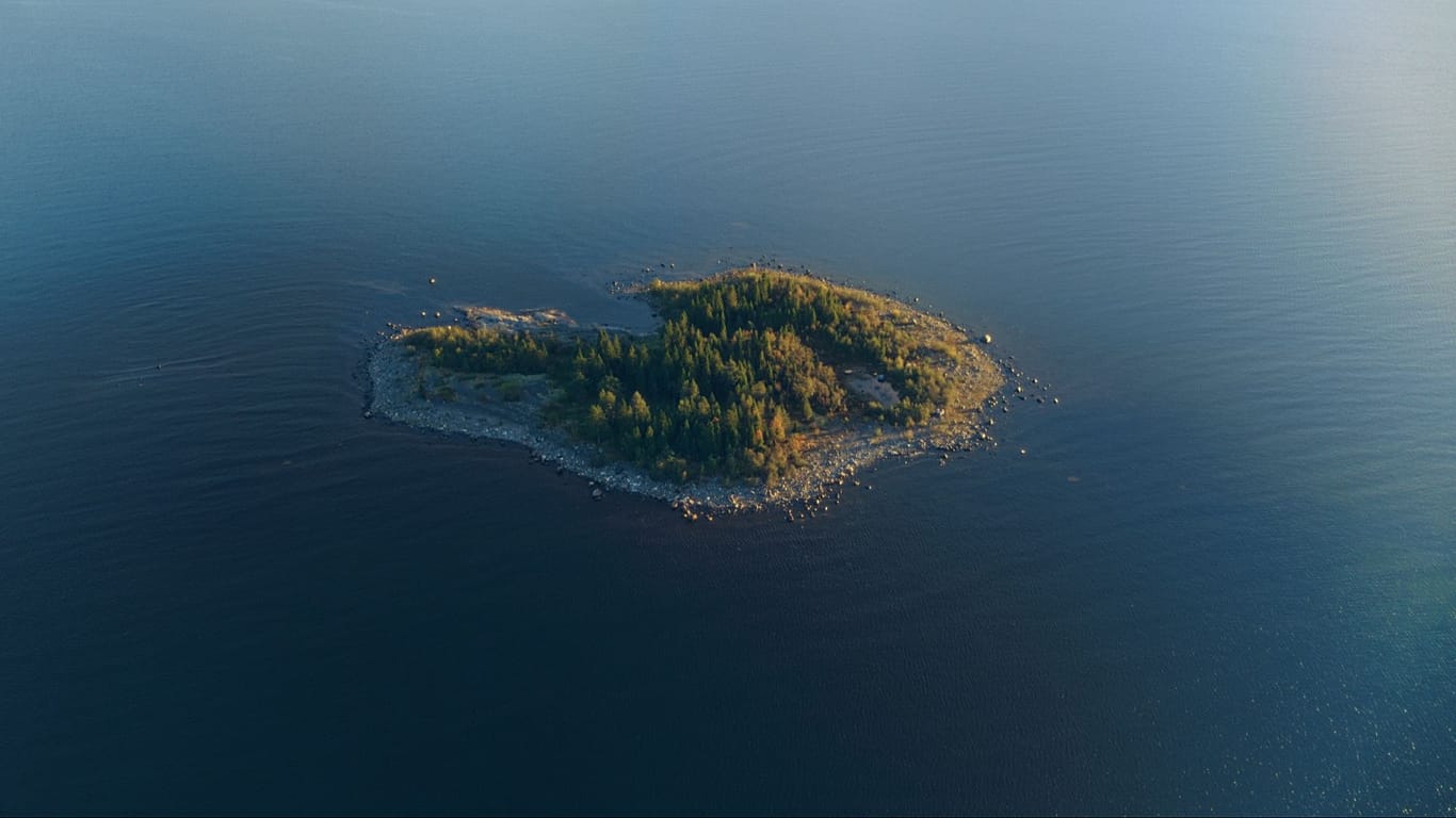 Sweden is giving away private islands. Billionaires are banned from ...