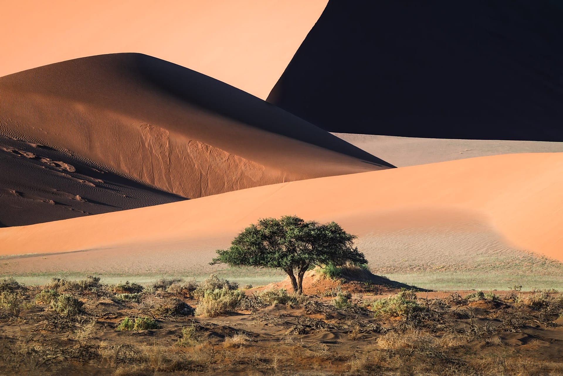 Everyone's a winner: Sony World Photography Awards 2026 Open ...