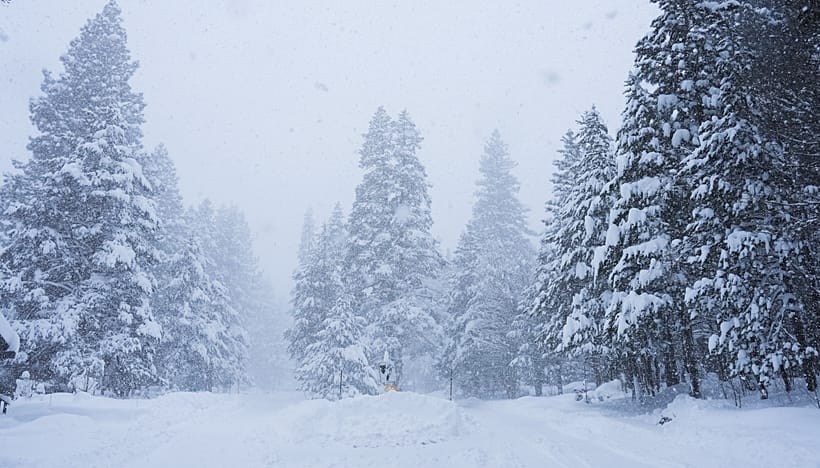 Video. Rescuers battle blizzard after 16 caught in California avalanche ...