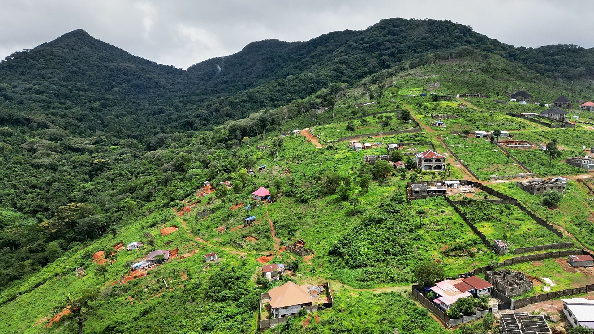 ‘Environmental time bomb’: Illegal luxury mansions replace rainforests ...