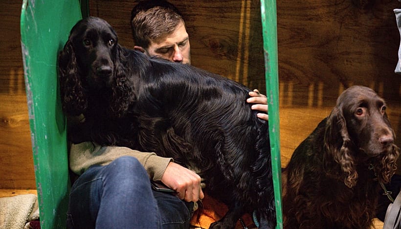Vidéo. UK: plus de 20 000 chiens au plus grand concours canin du monde ...