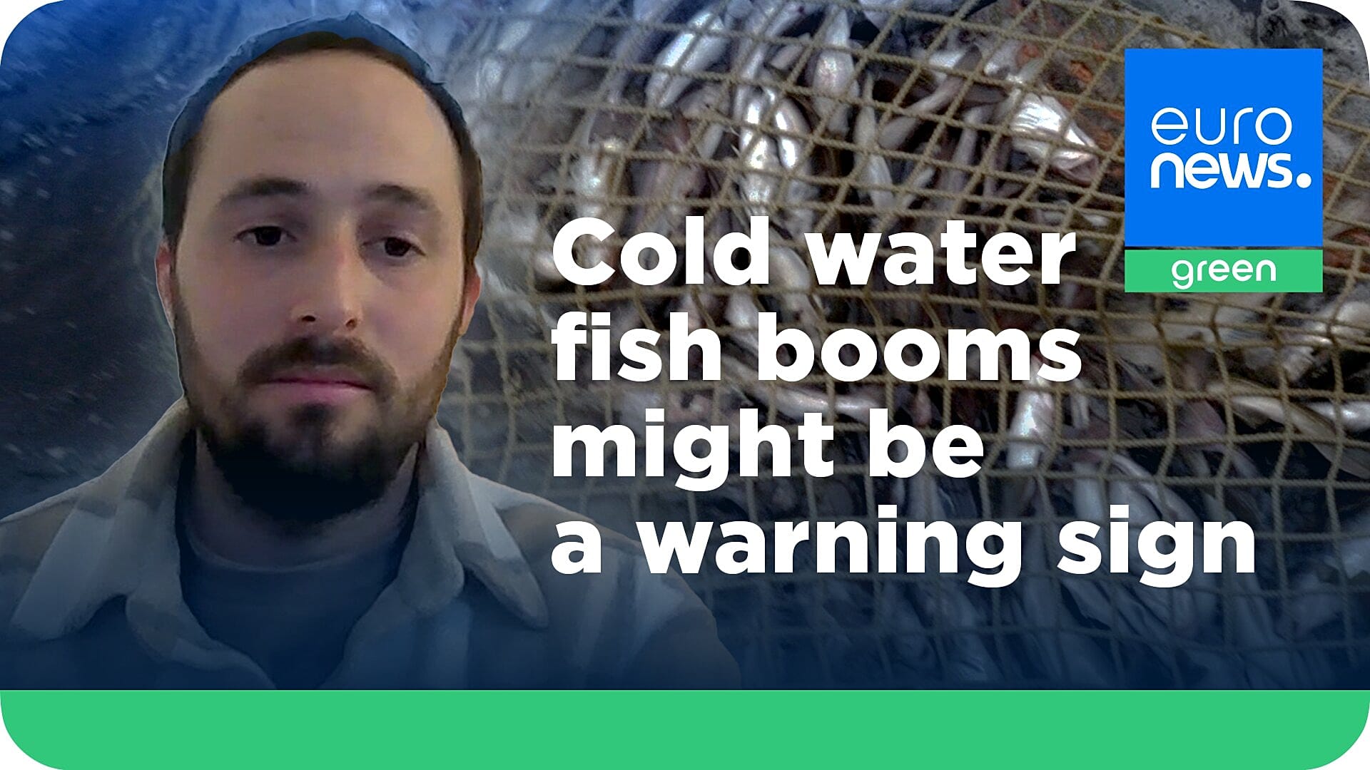 Marine heatwaves create ‘winners and losers’ - but rising fish numbers ...
