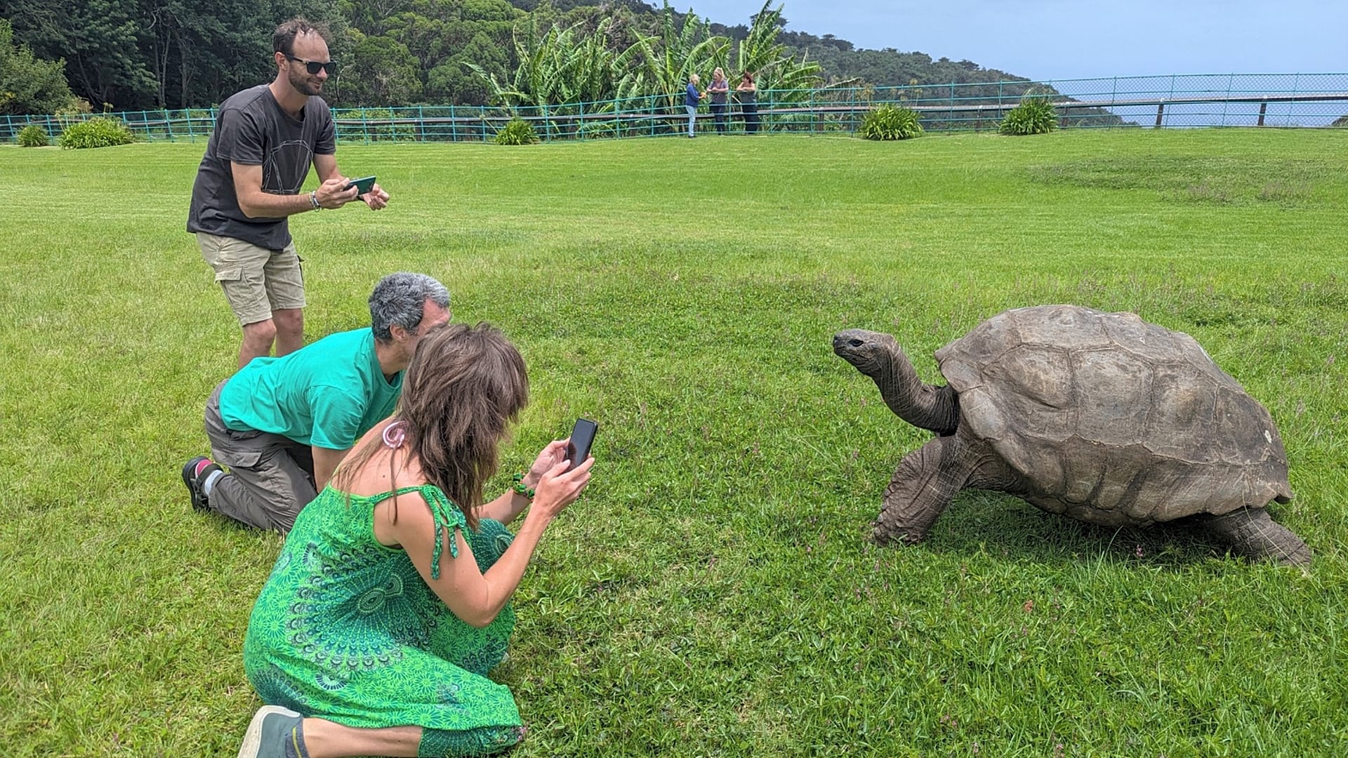"Era un bulo": Jonathan, la tortuga más vieja del mundo, sigue viva ...