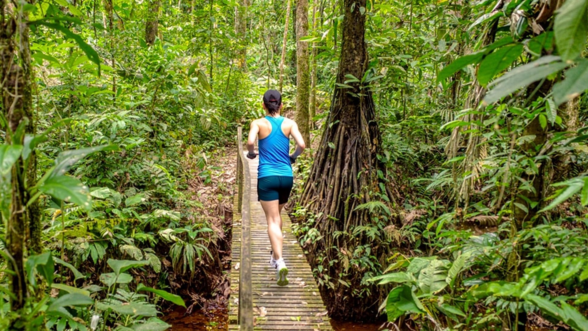 From the Amazon to Antarctica: These are the best once-in-a-lifetime ...