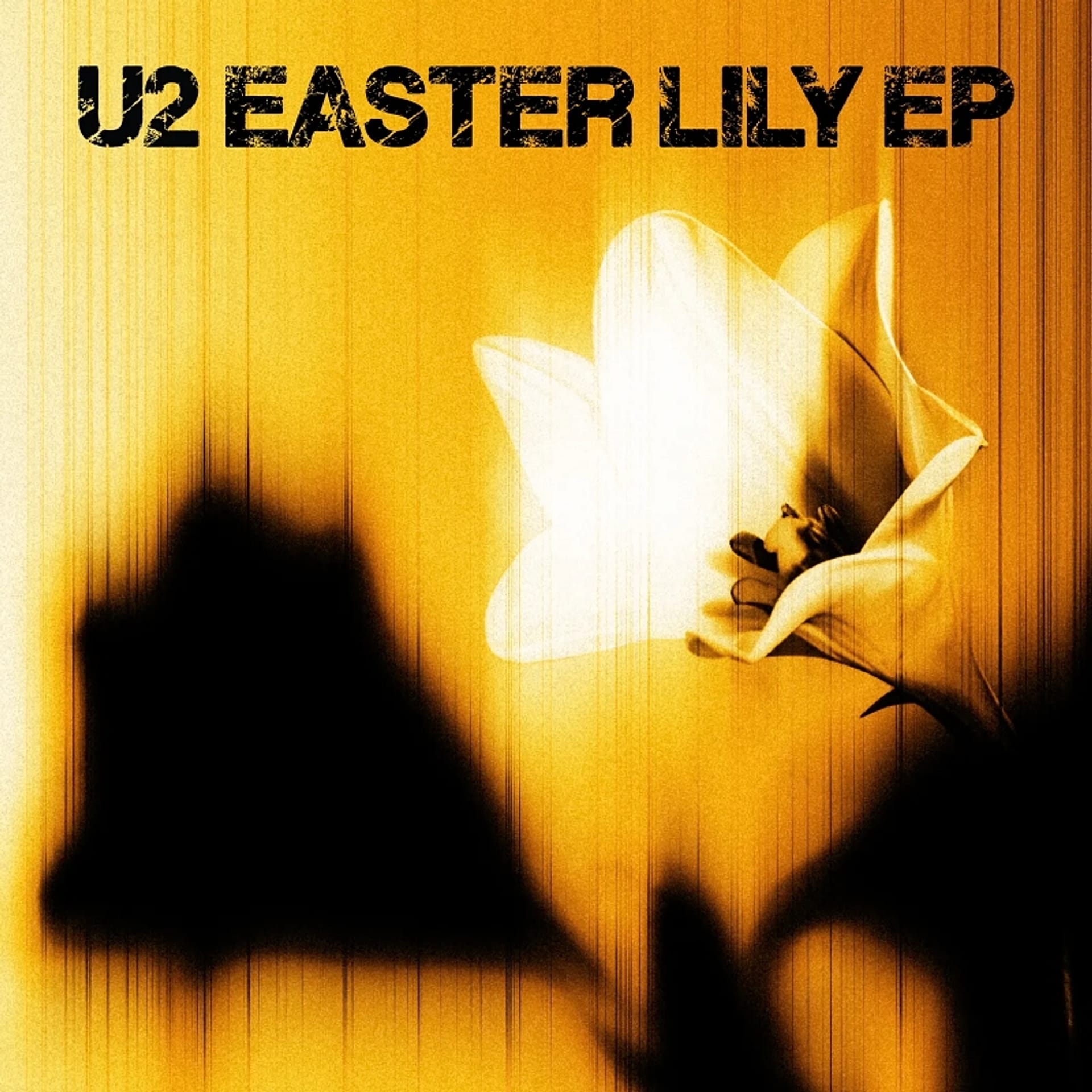 ‘Easter Lily’: U2 surprise drop new EP to mark Good Friday - Newswav