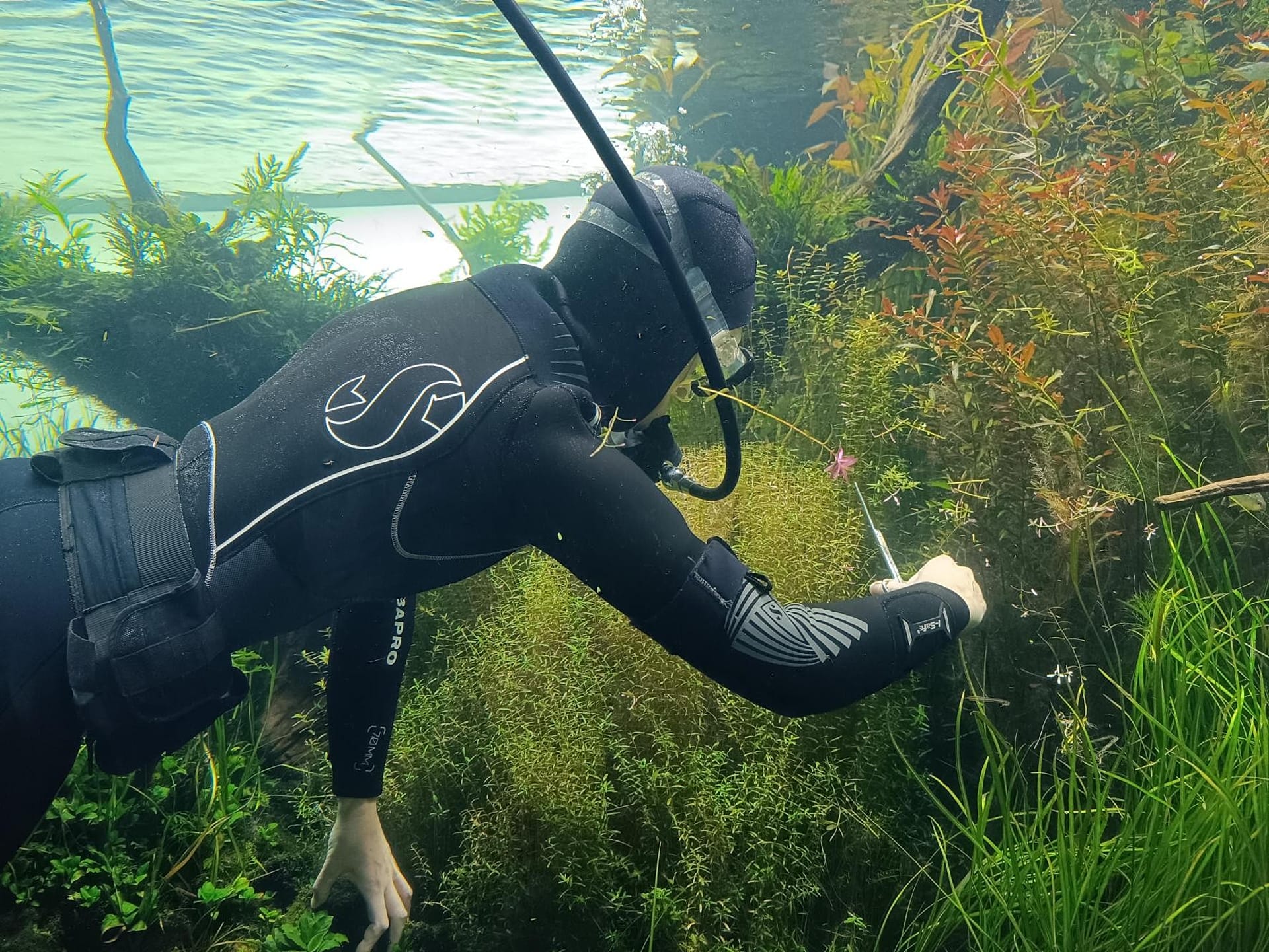 An aquatic adventure ends: Lisbon's Oceanarium to close 'Forests ...